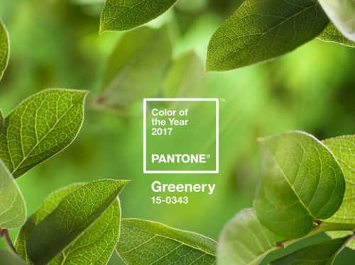 2017 PANTONE COLOR OF THE YEAR – GREENERY – My Old Country House