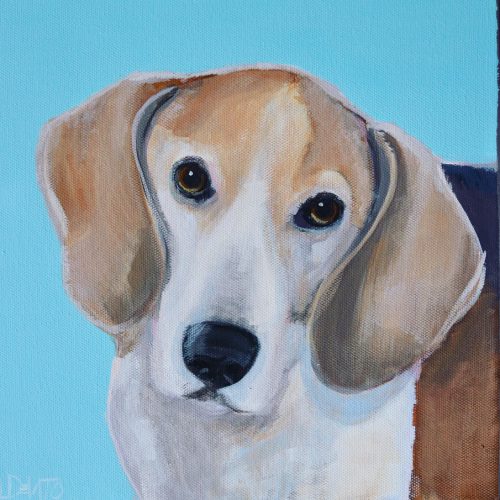 WEEK 1 – 7 DOGS IN 7 DAYS – My Old Country House