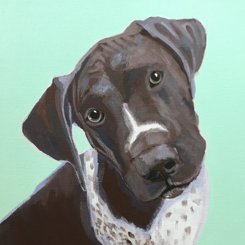 WEEK 1 – 7 DOGS IN 7 DAYS – My Old Country House